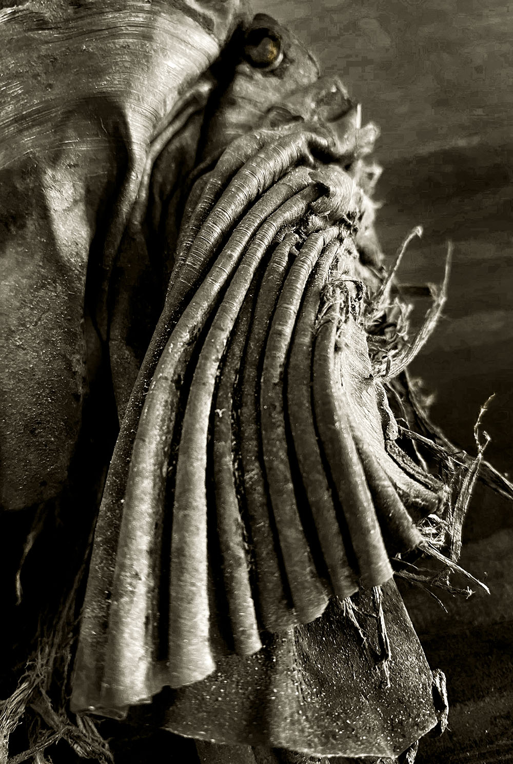 SCREAM SHOE! The Tragic Story Of A Worm Shoe. – Classic Boats | Woody ...