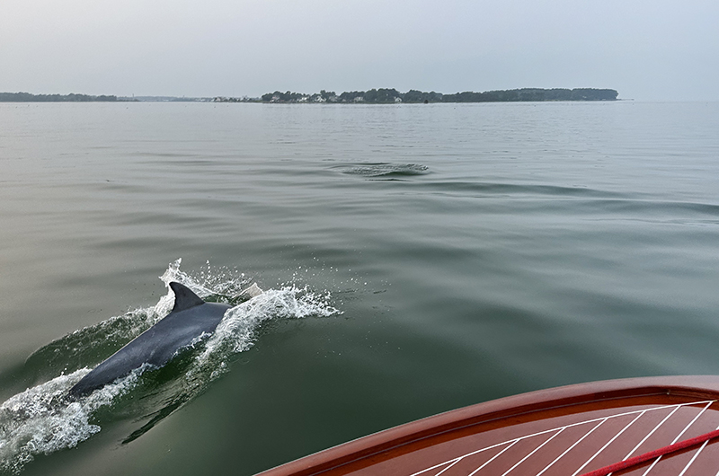 They’re Jumping In July – More WoodyBoating Fun – Classic Boats | Woody ...