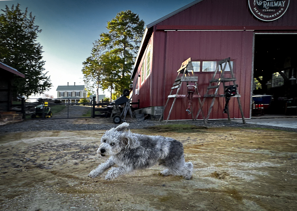 No News Out There? So You Get A Stinky B Story! – Classic Boats | Woody ...