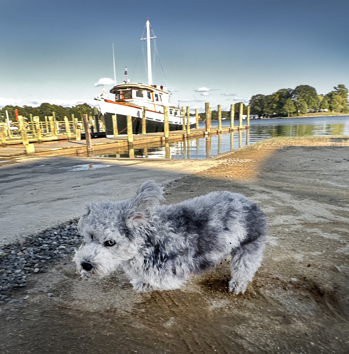 No News Out There? So You Get A Stinky B Story! – Classic Boats | Woody ...