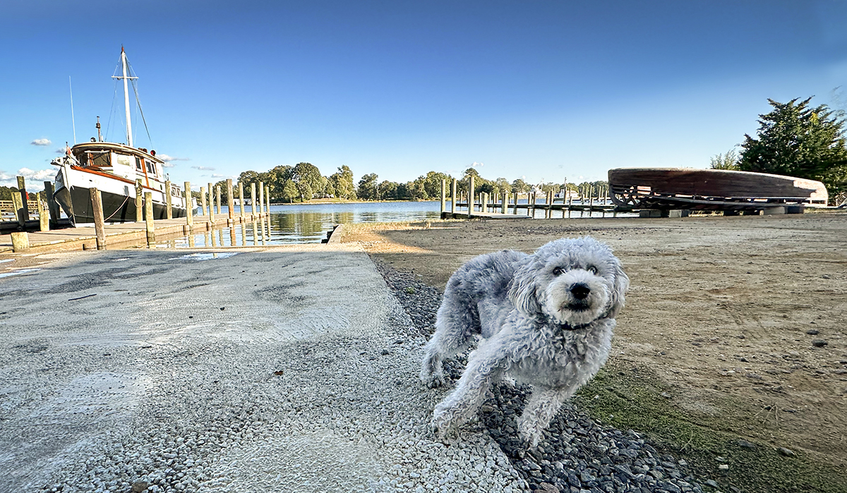 No News Out There? So You Get A Stinky B Story! – Classic Boats | Woody ...