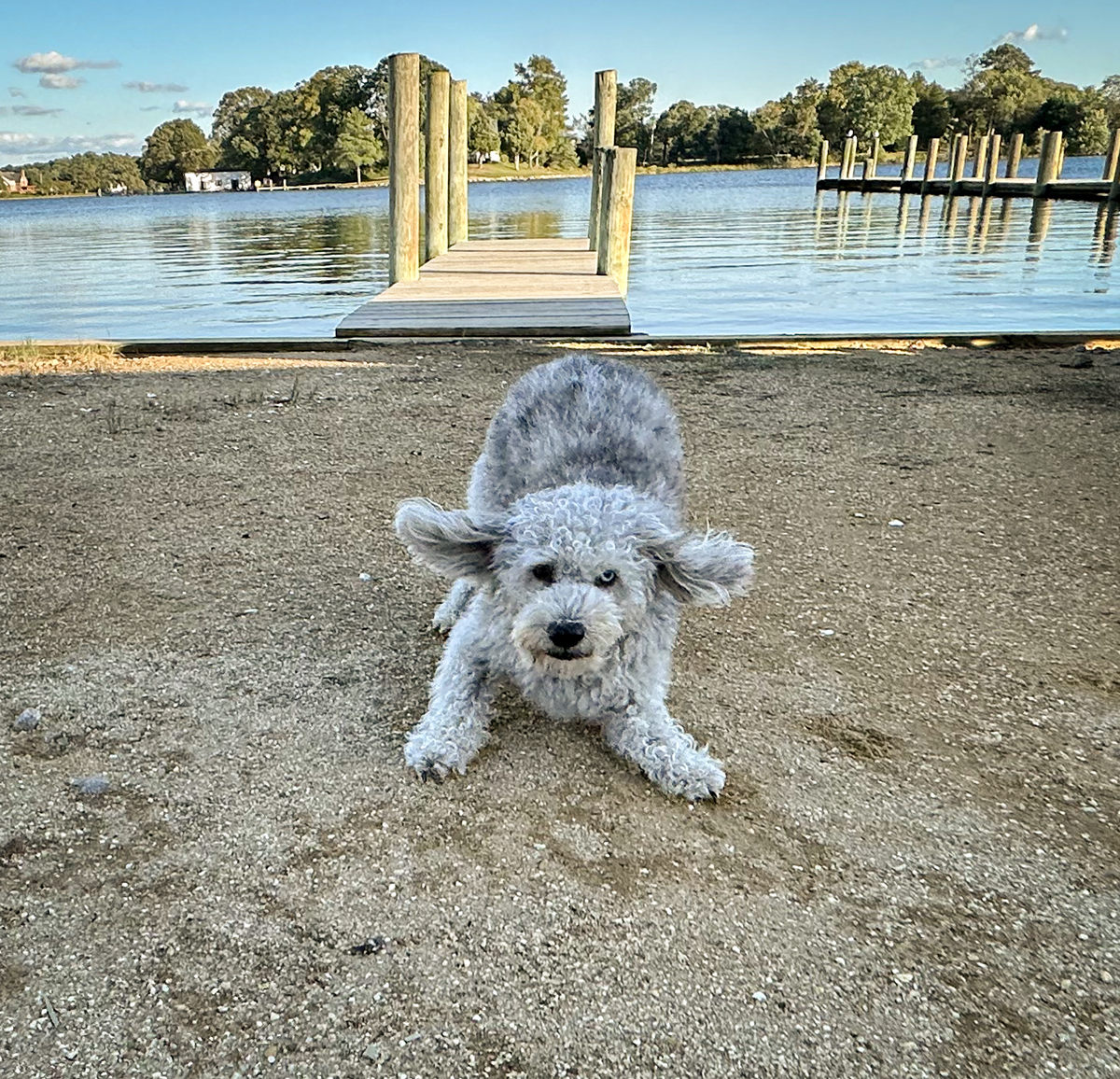 No News Out There? So You Get A Stinky B Story! – Classic Boats | Woody ...