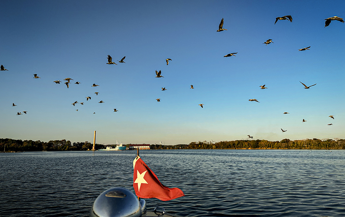 We Interrupt Work For Some Low Light Basking – Classic Boats | Woody Boater