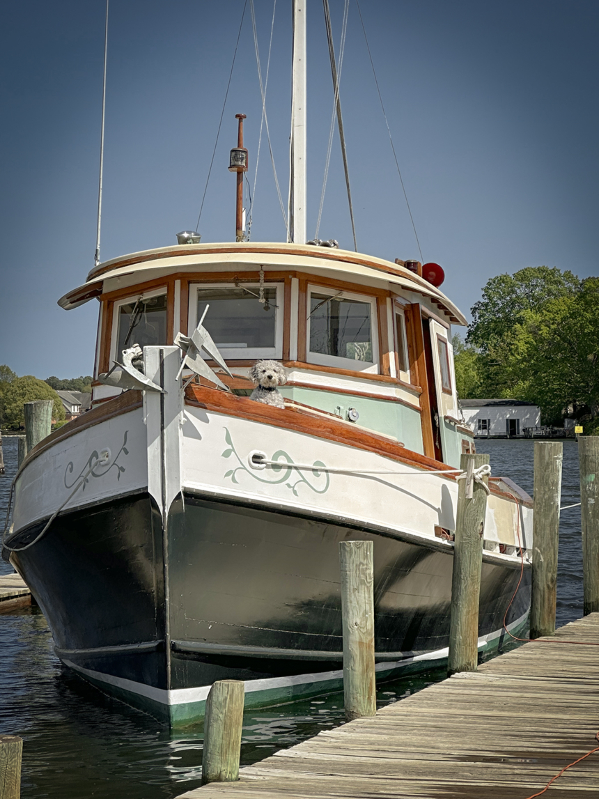 Wood Paneling, Mr B, And a Gurney, Yes, Litter, Stretcher? – Classic ...