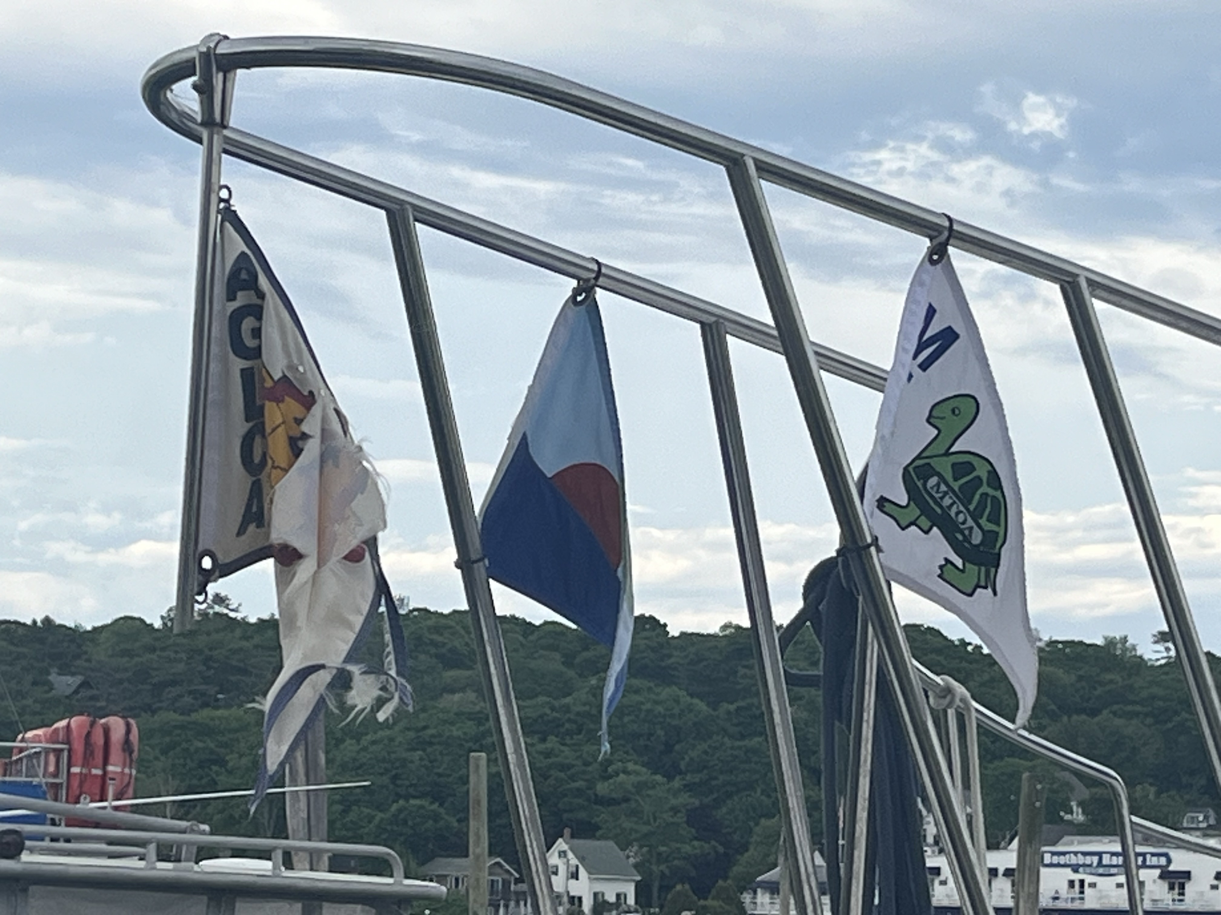A Late Pink Bloomers Story Of Whitefish Chain. – Classic Boats | Woody ...